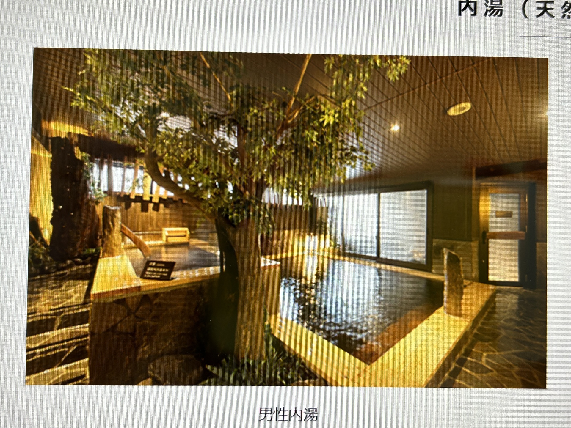 2023富山旅行記2日目その2～大阪では食べられないえびご飯を食べる～: 行政書士中村裕司の日記